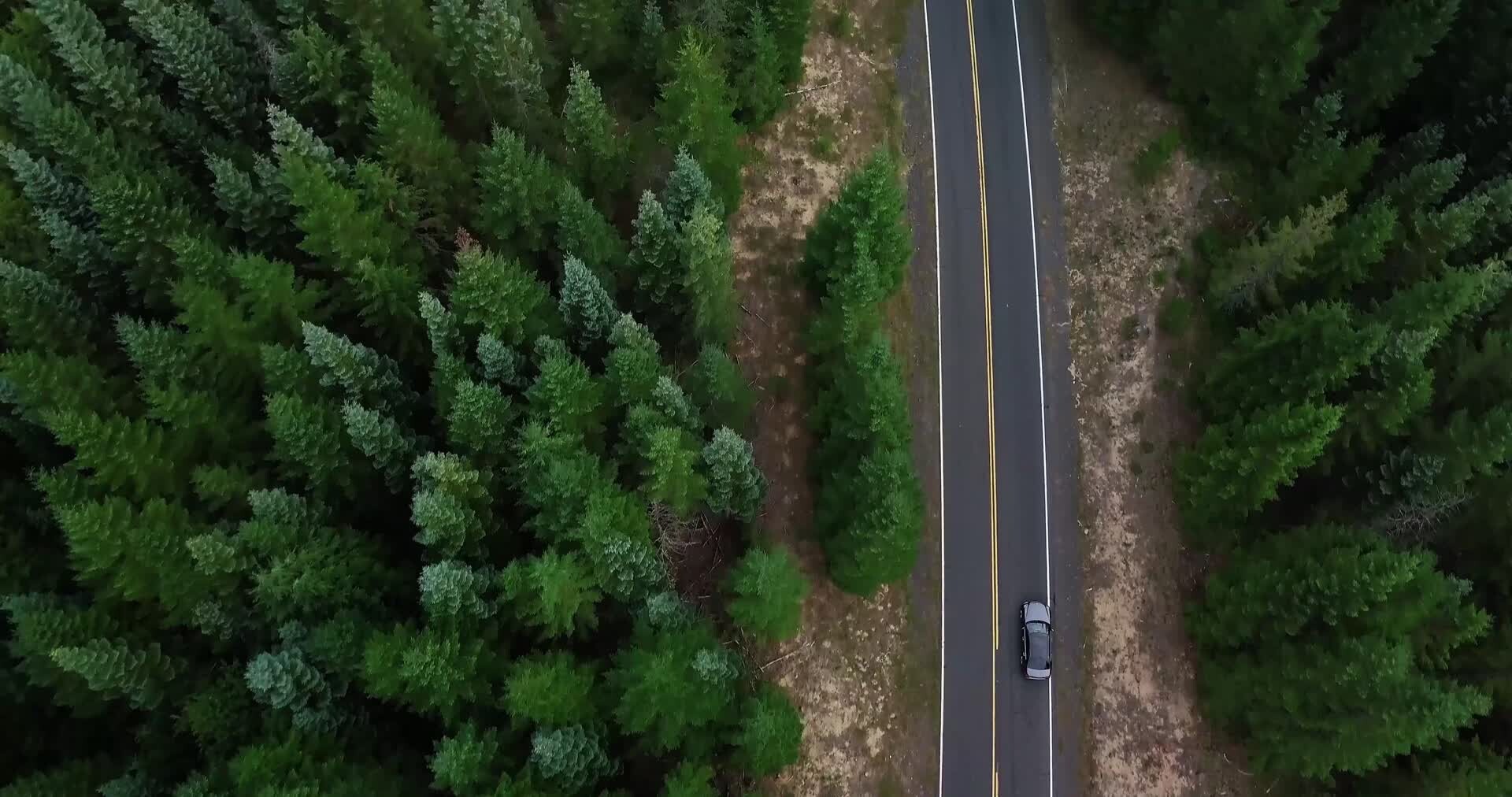 ArtStation - After Effects