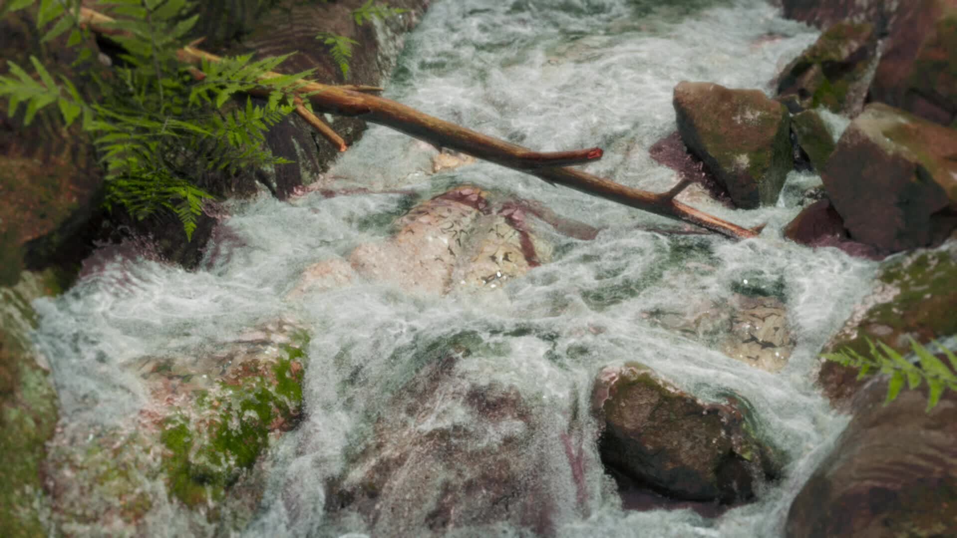 Michin - River Simulation