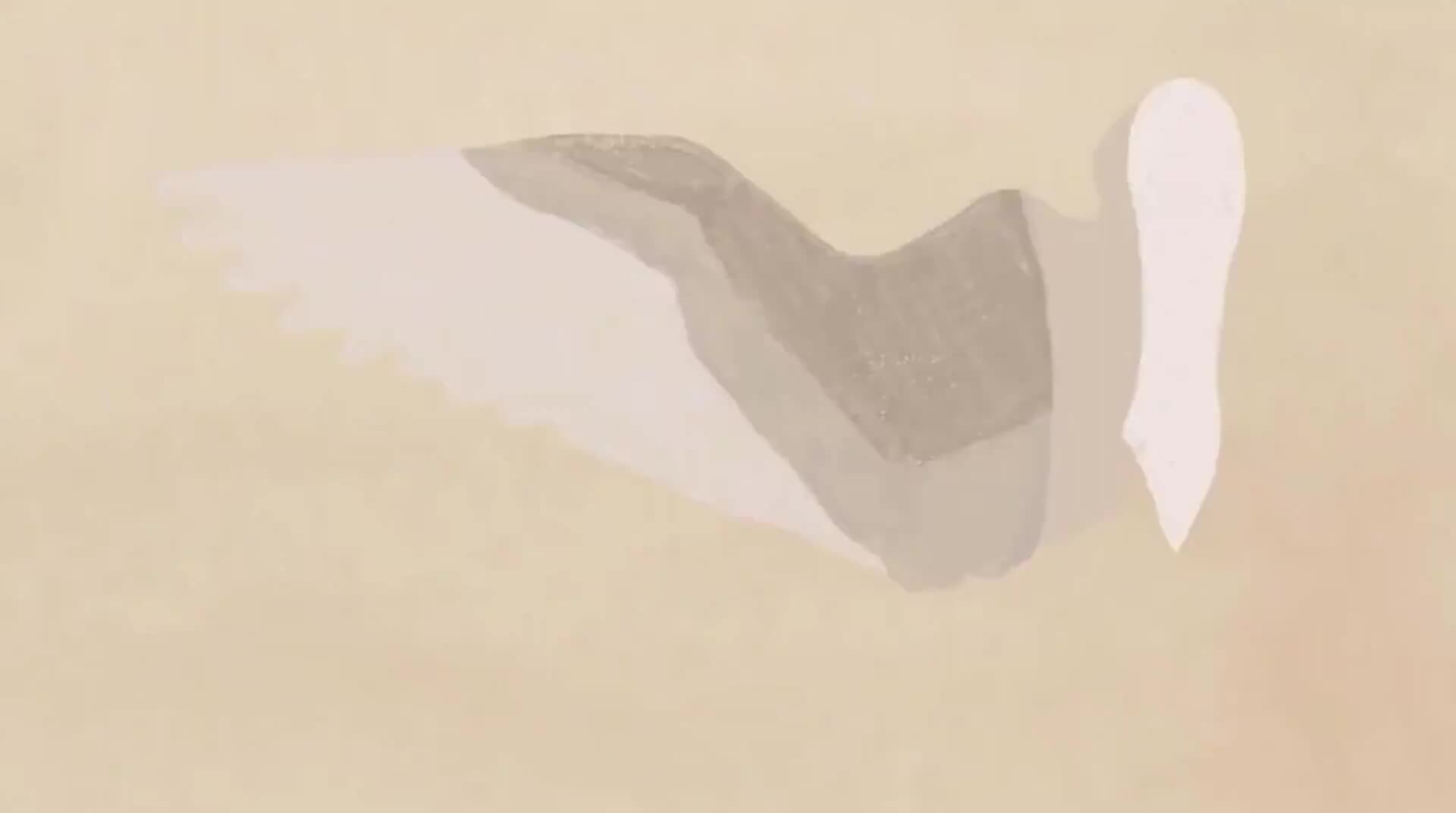 ArtStation - Wing Animation 2020