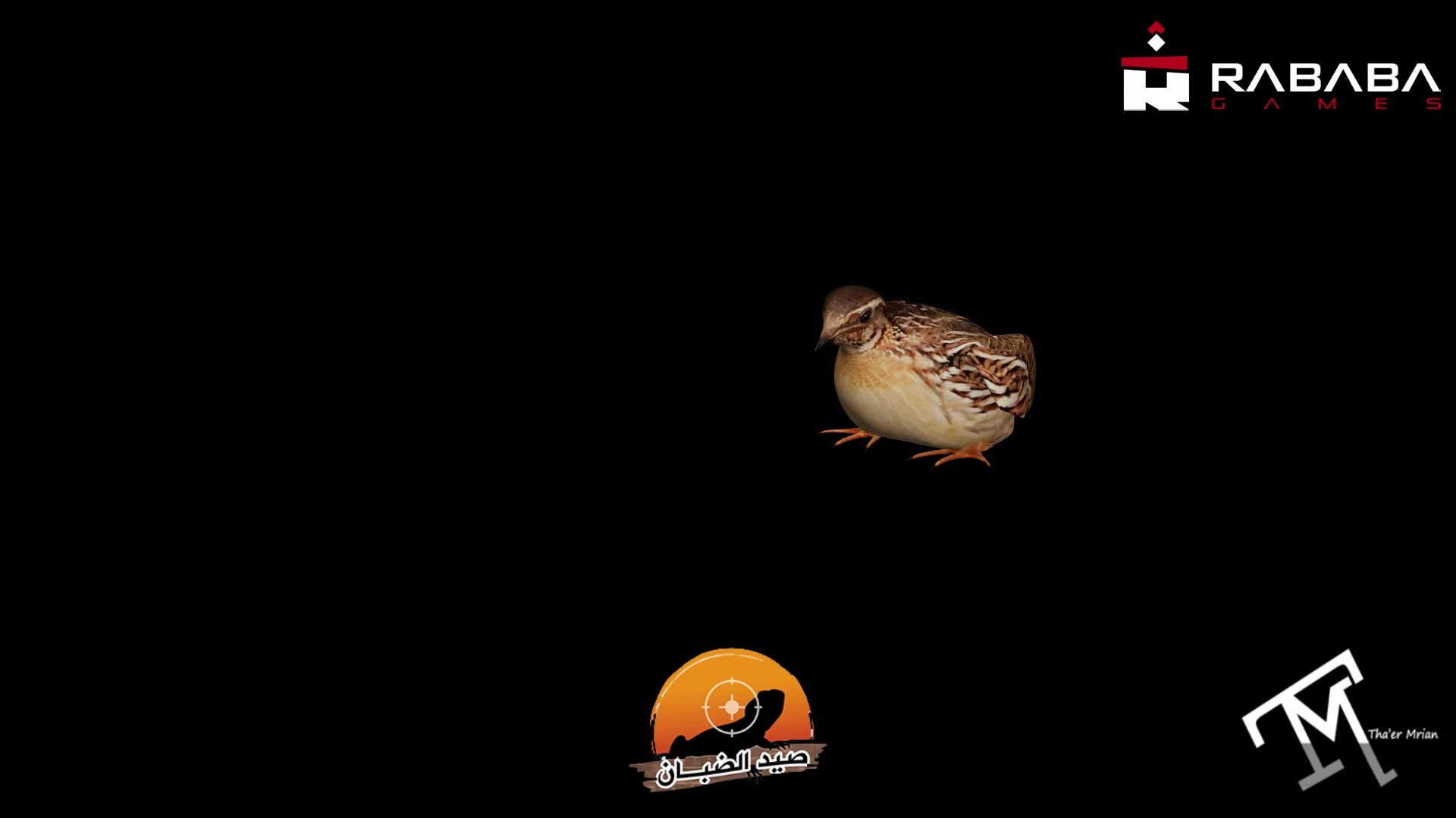 ArtStation - Quail Animation (السمان)