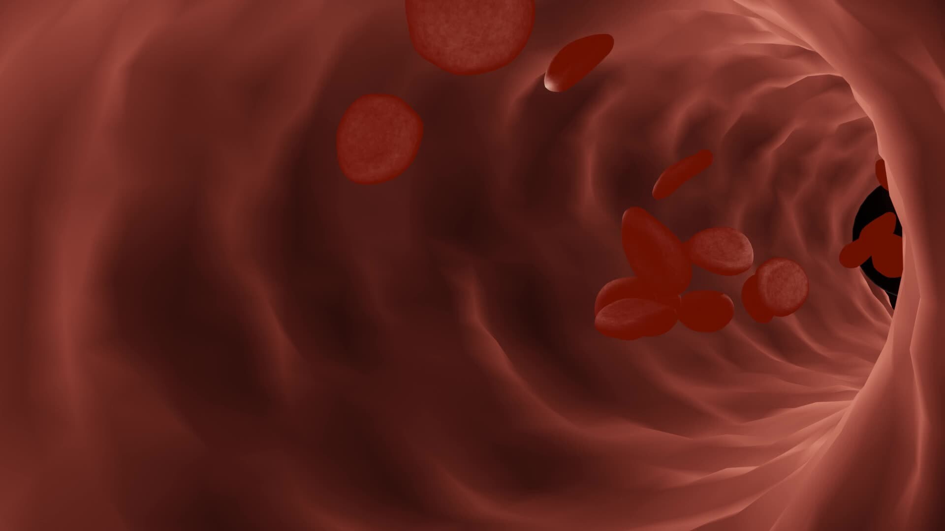 ArtStation - Red blood cell flow animation