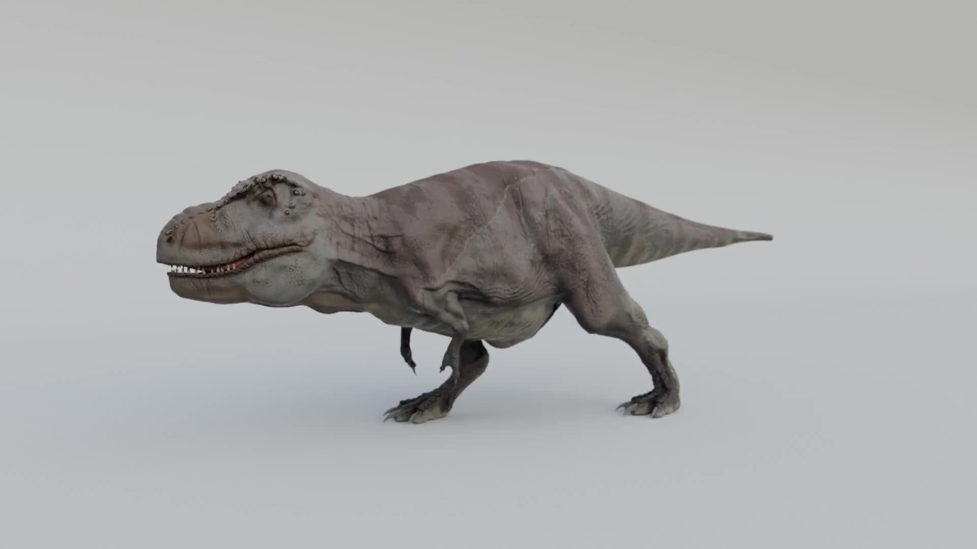 ArtStation - t-rex walk cycle