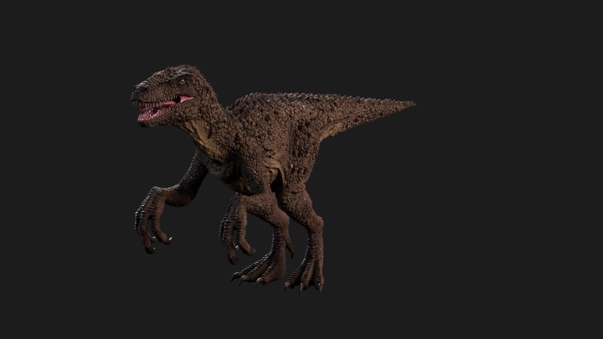 ArtStation - raptor_personnal_project