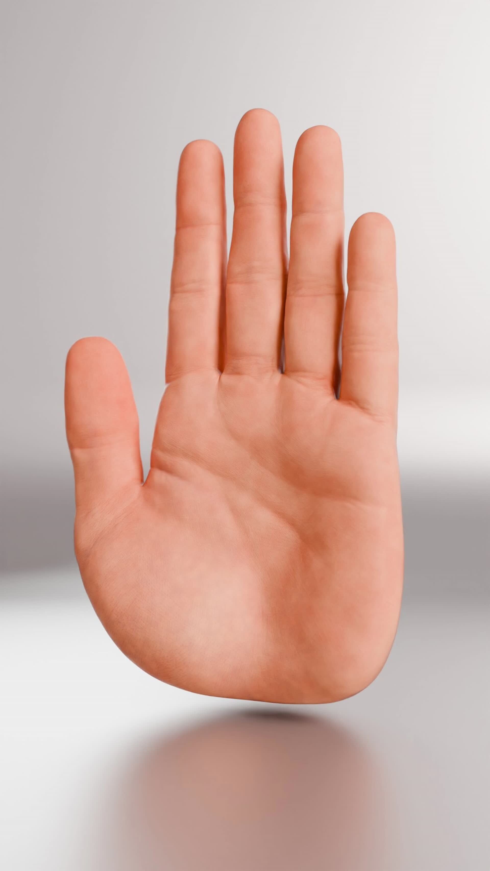 ArtStation - Hand 3D Model