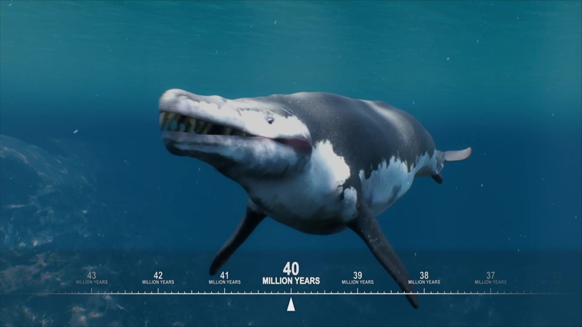 ArtStation - Basilosaurus from "The Nature of Things" in Series 63 ...