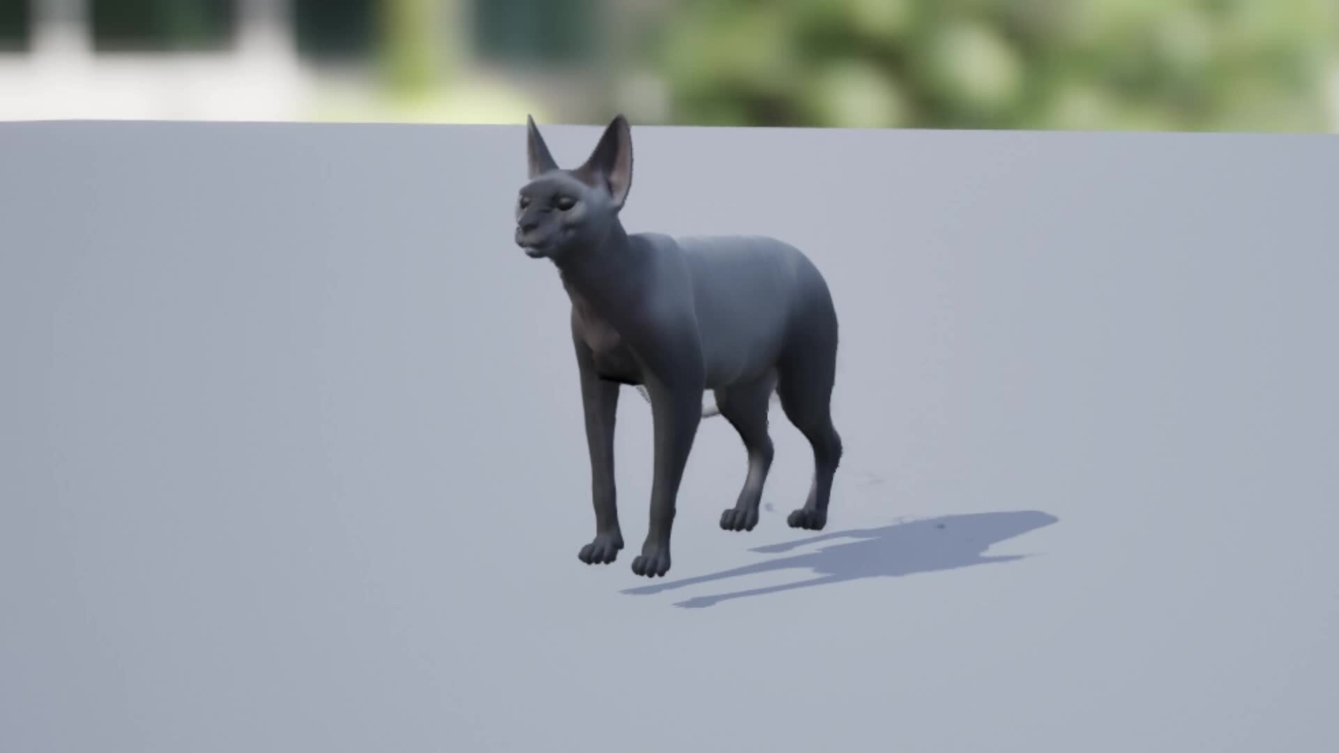 ArtStation - Cat idle and jump animation