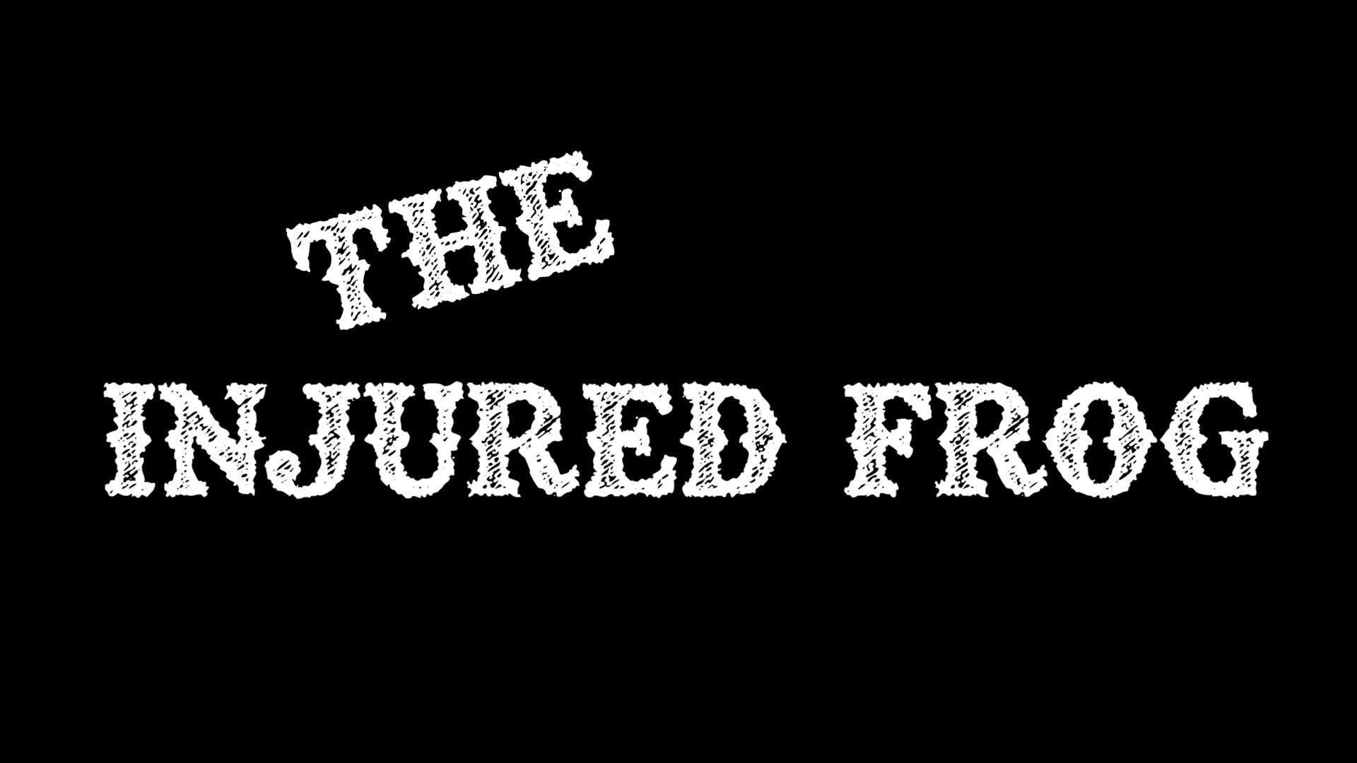 ArtStation - The Injured frog