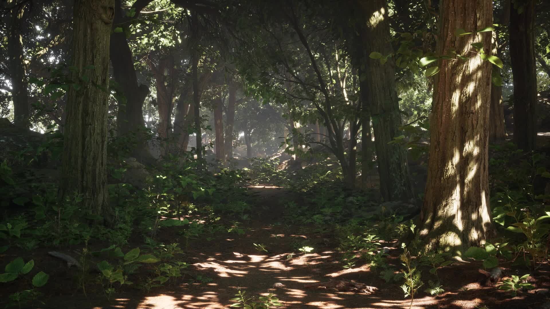 ArtStation - a realistic forest with clear weather