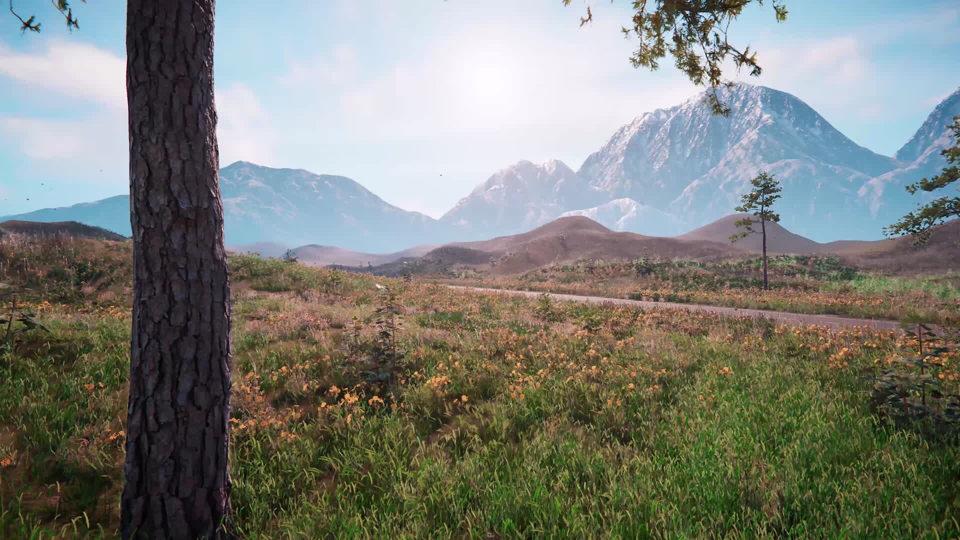 ArtStation - Grassland's