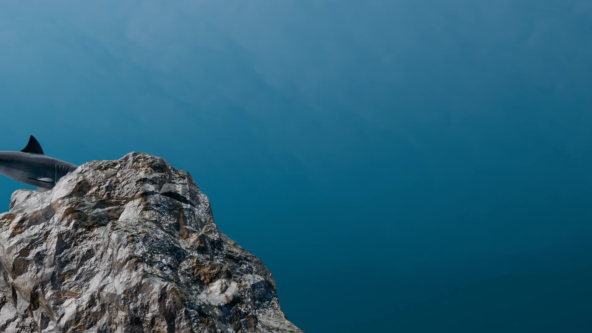 ArtStation - Shark animation 3D