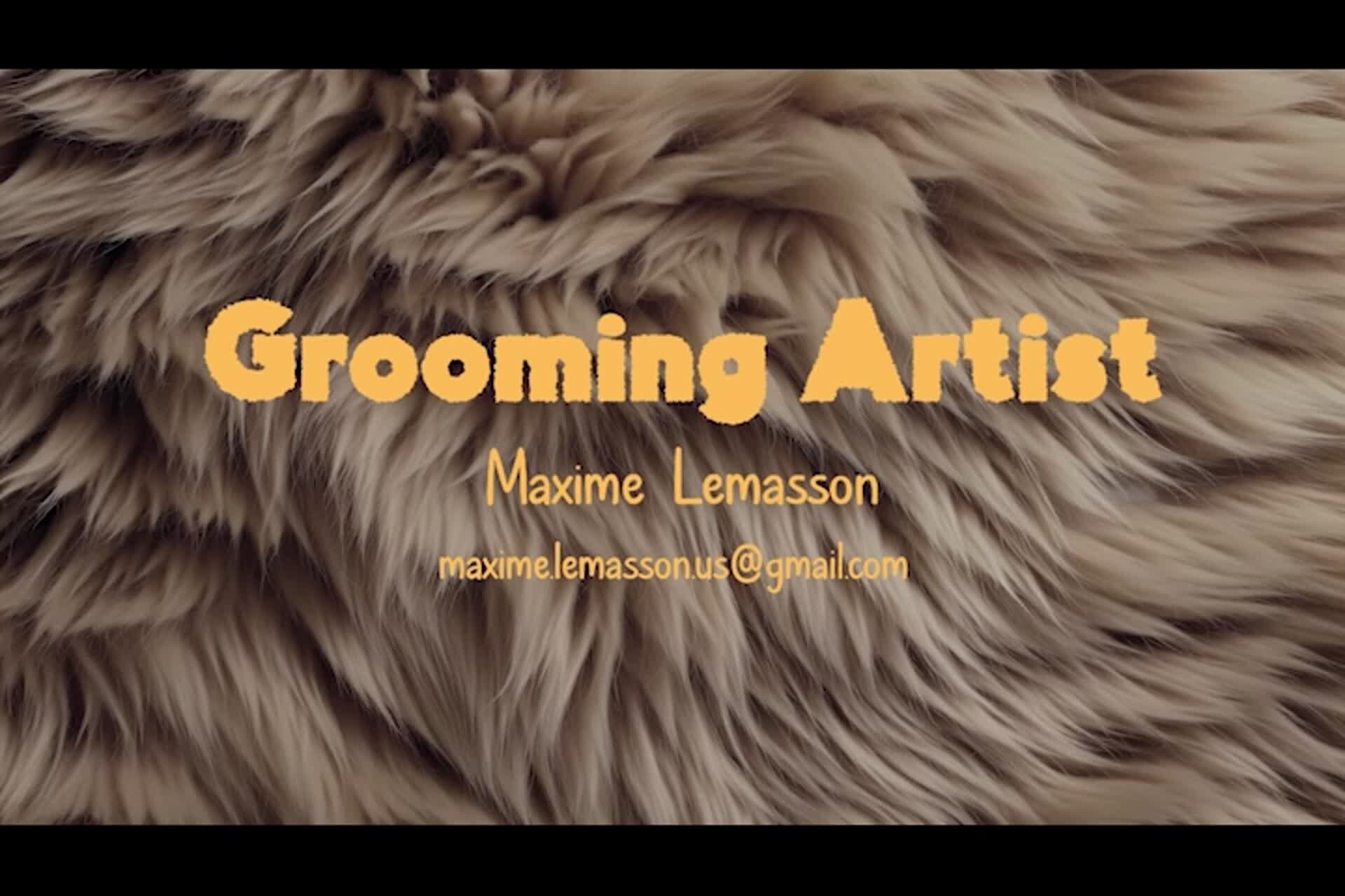 ArtStation - Grooming SIM TEST