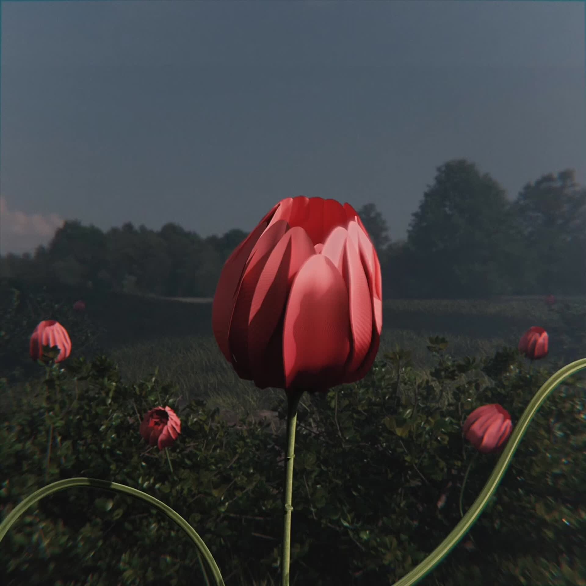 ArtStation - Morning Dew