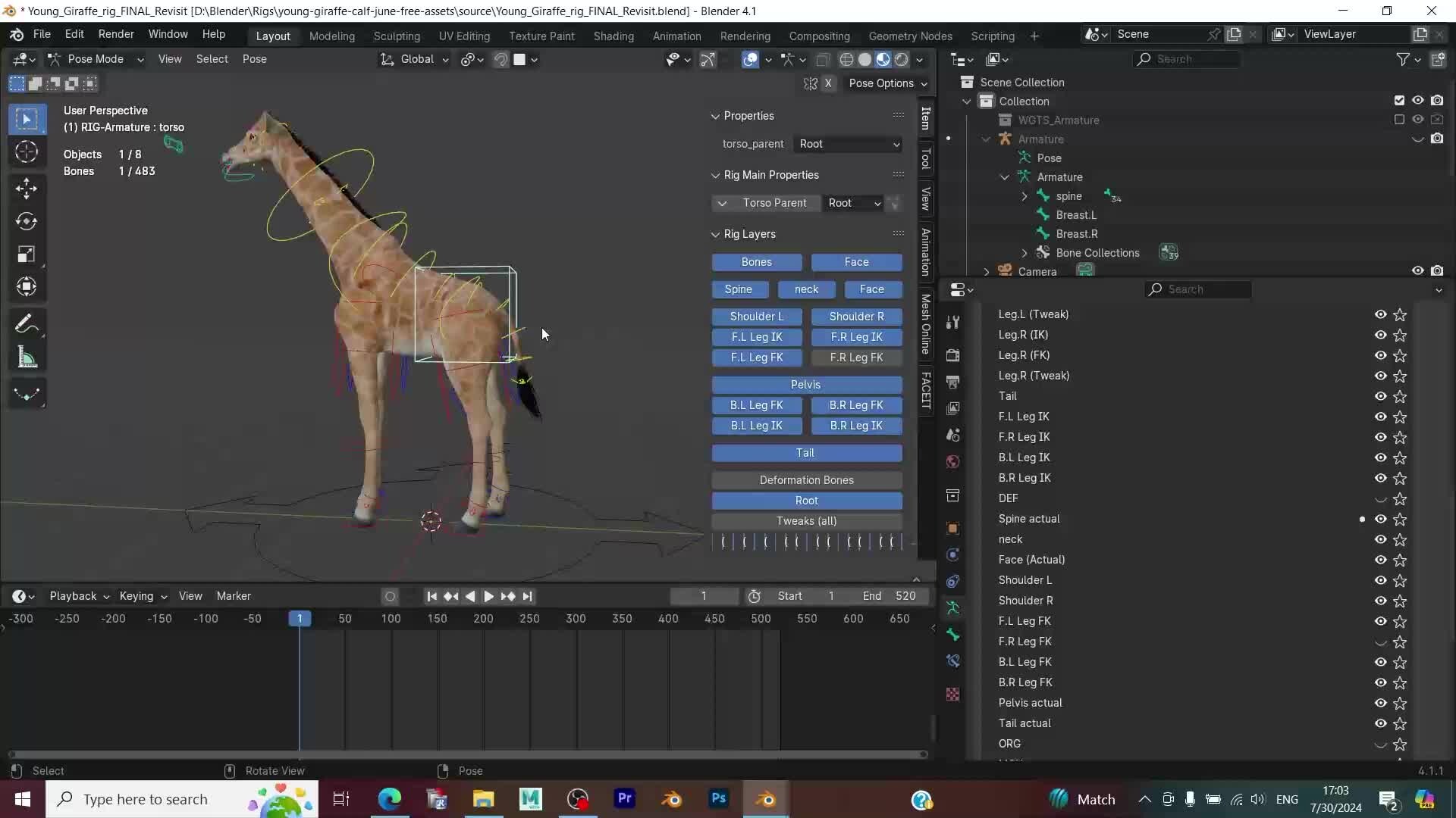 ArtStation - Animal Rigging