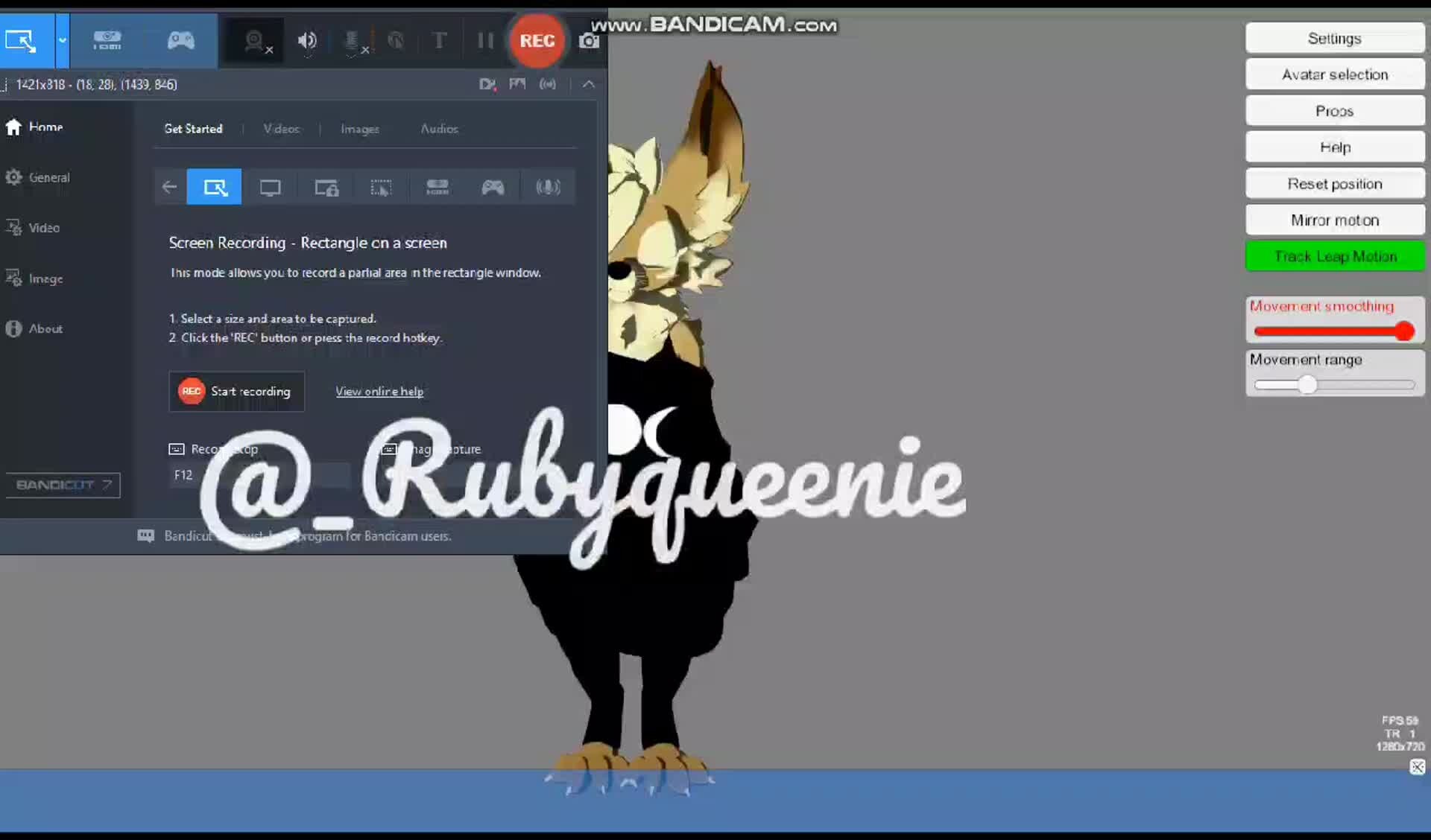ArtStation - Eevee's VTuber Rig