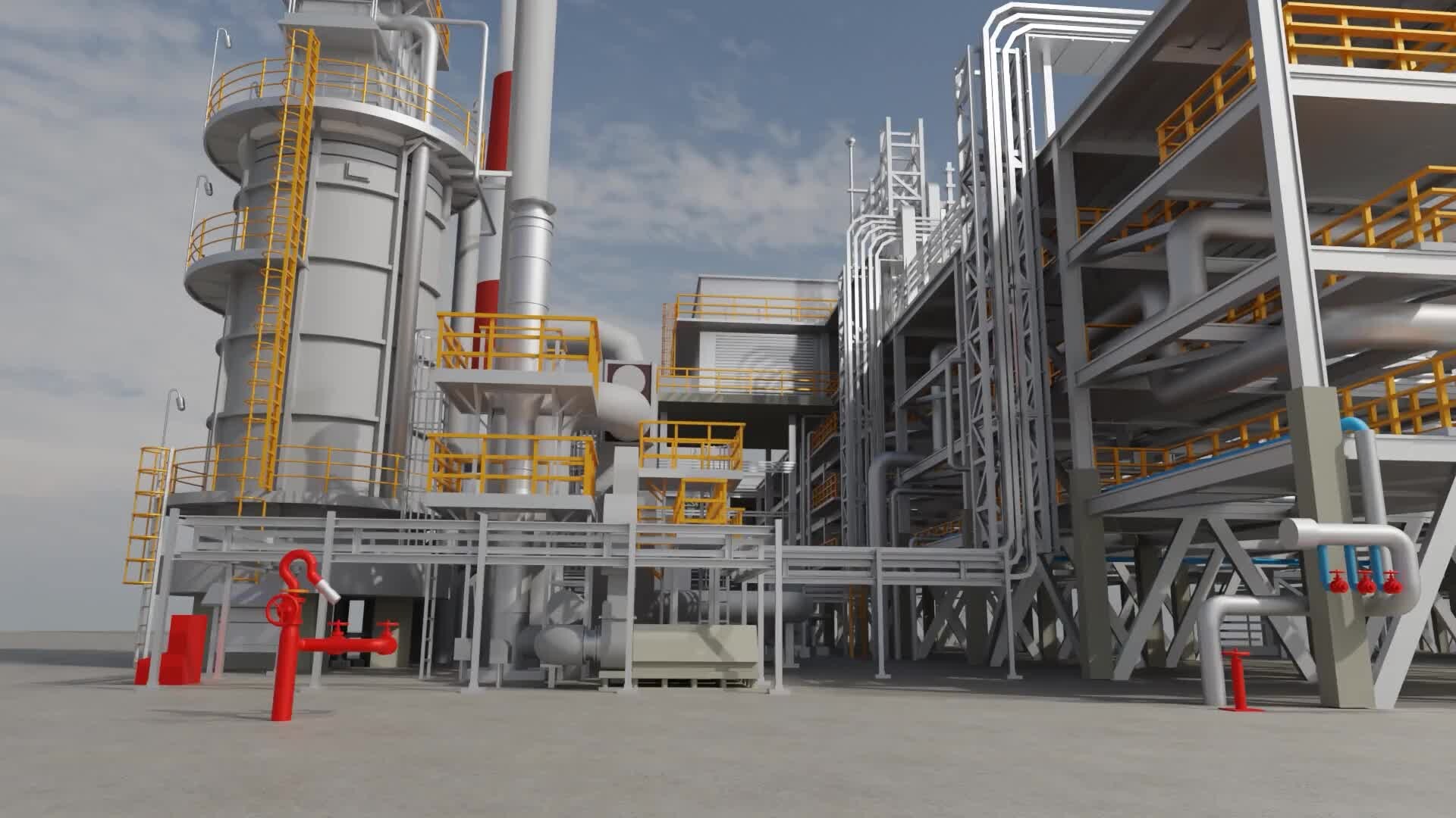 TN Palm - 3D Animation