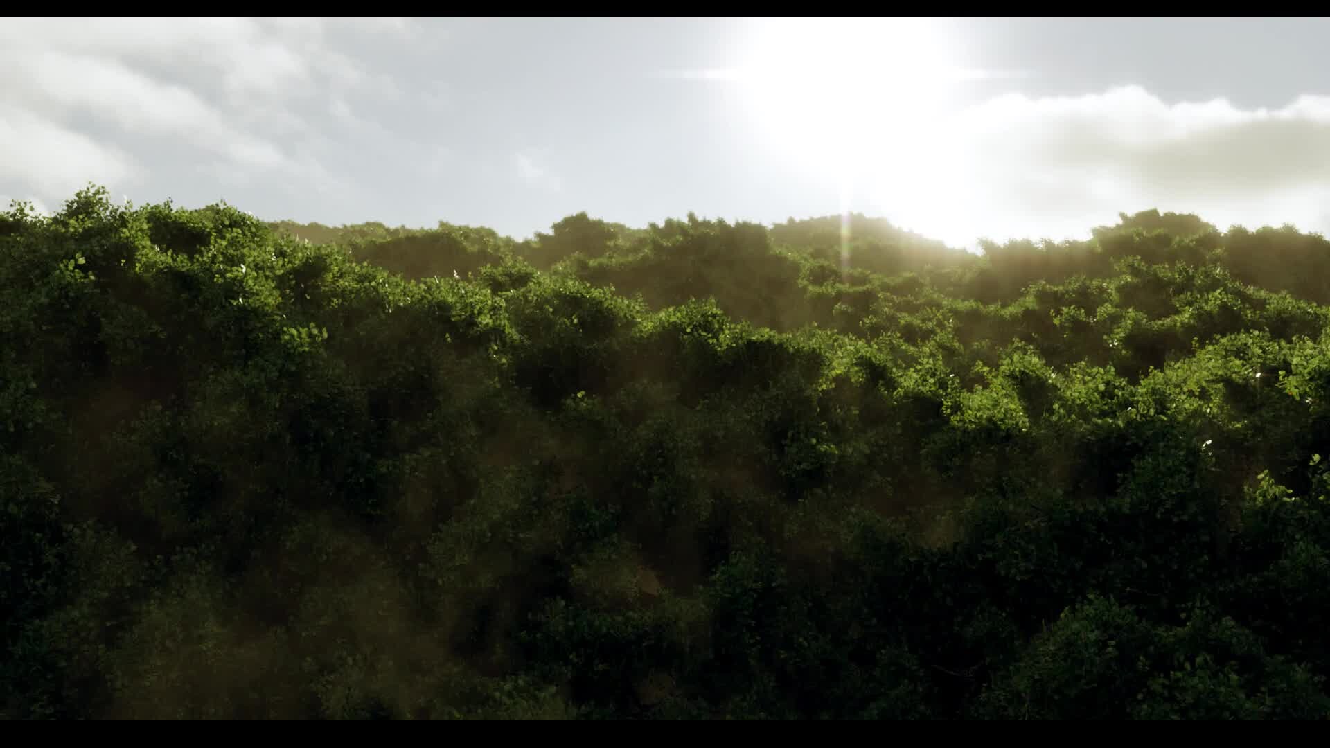 ArtStation - Simple Tree landscape realistic render in Blender