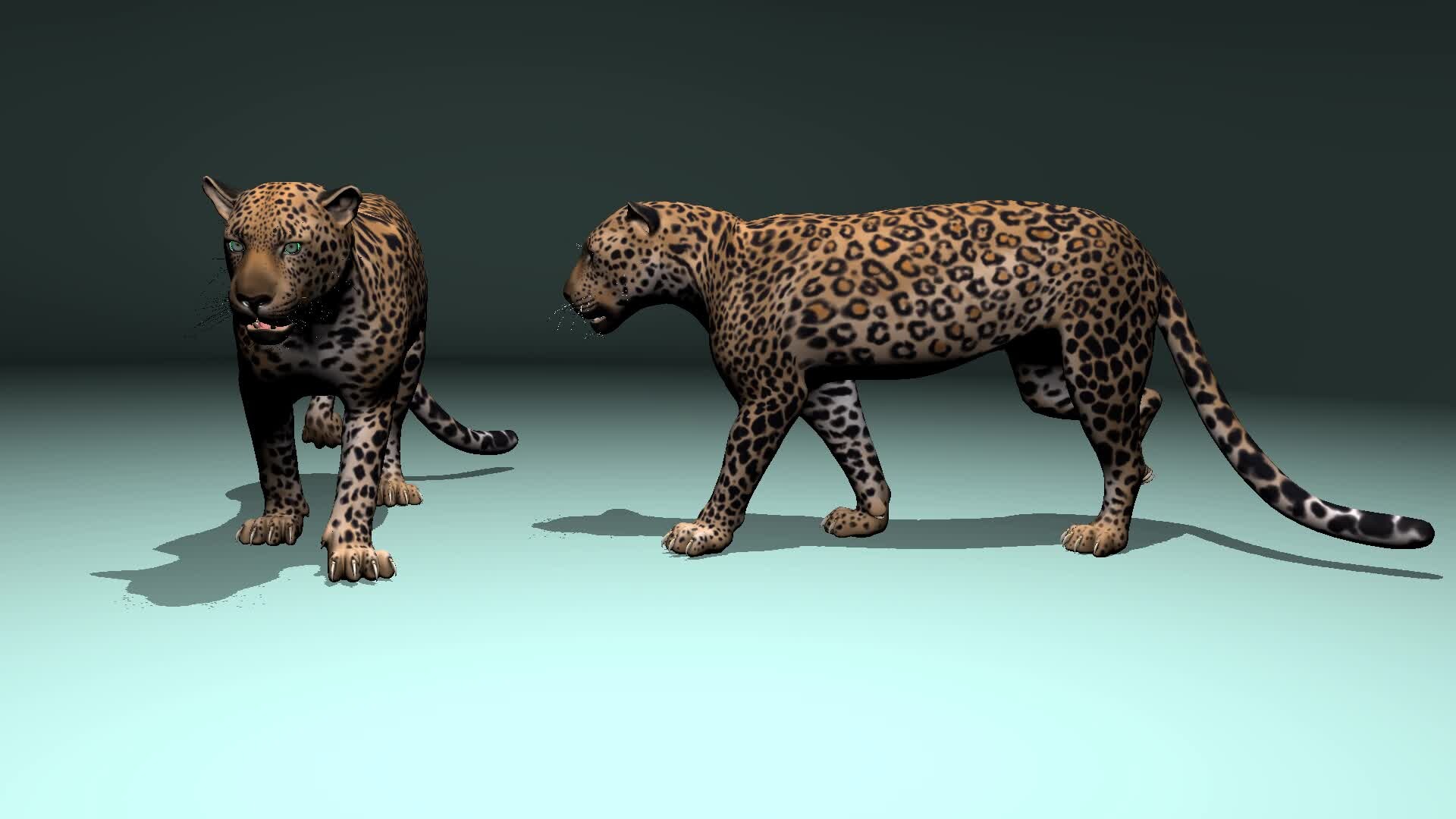ArtStation - Leopard Walk Cycle Practice