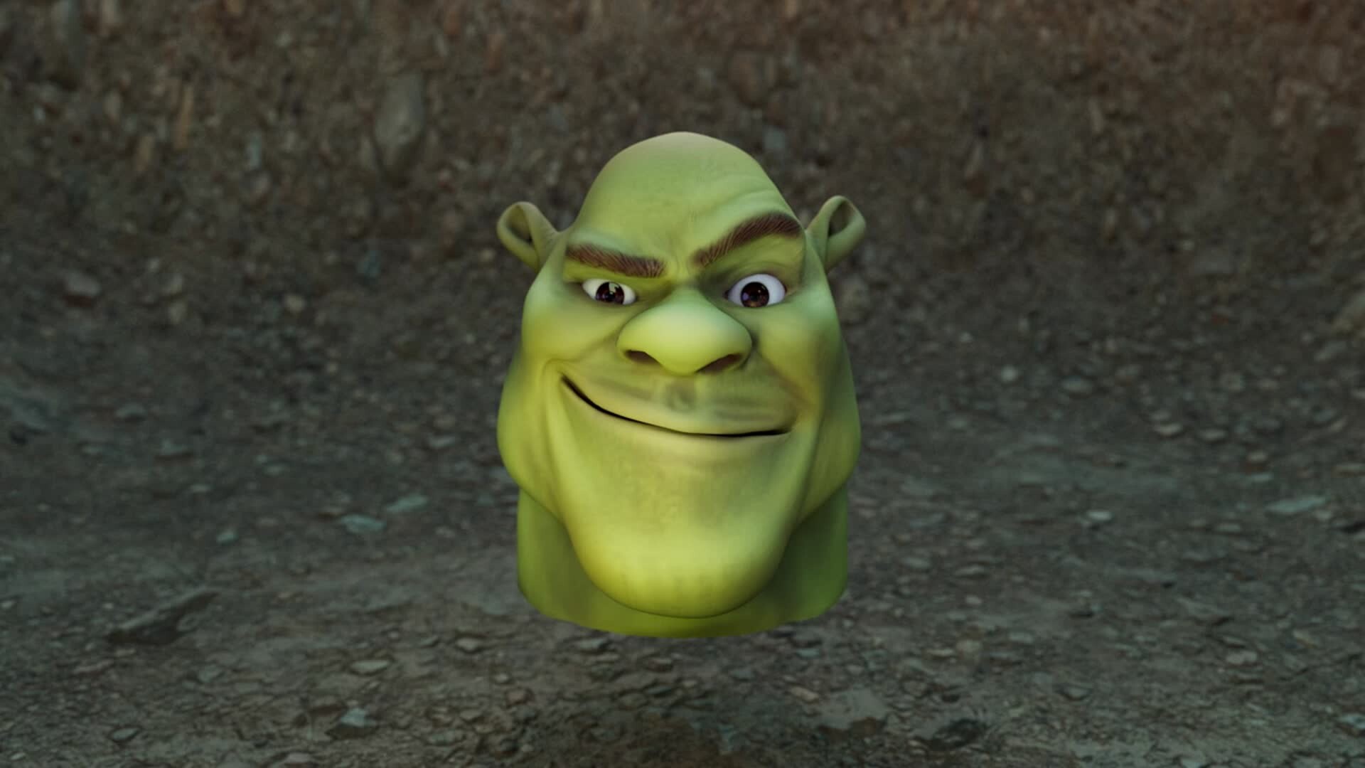 ArtStation - Shrek Head Model