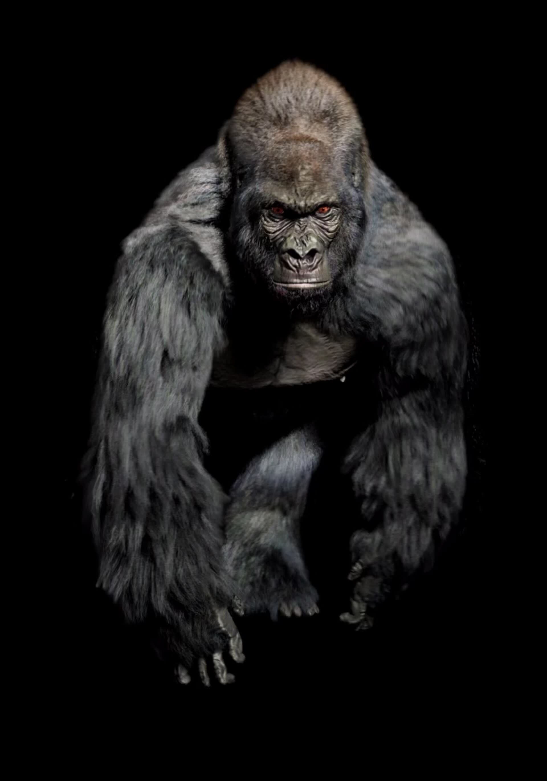 ArtStation - Real time gorilla