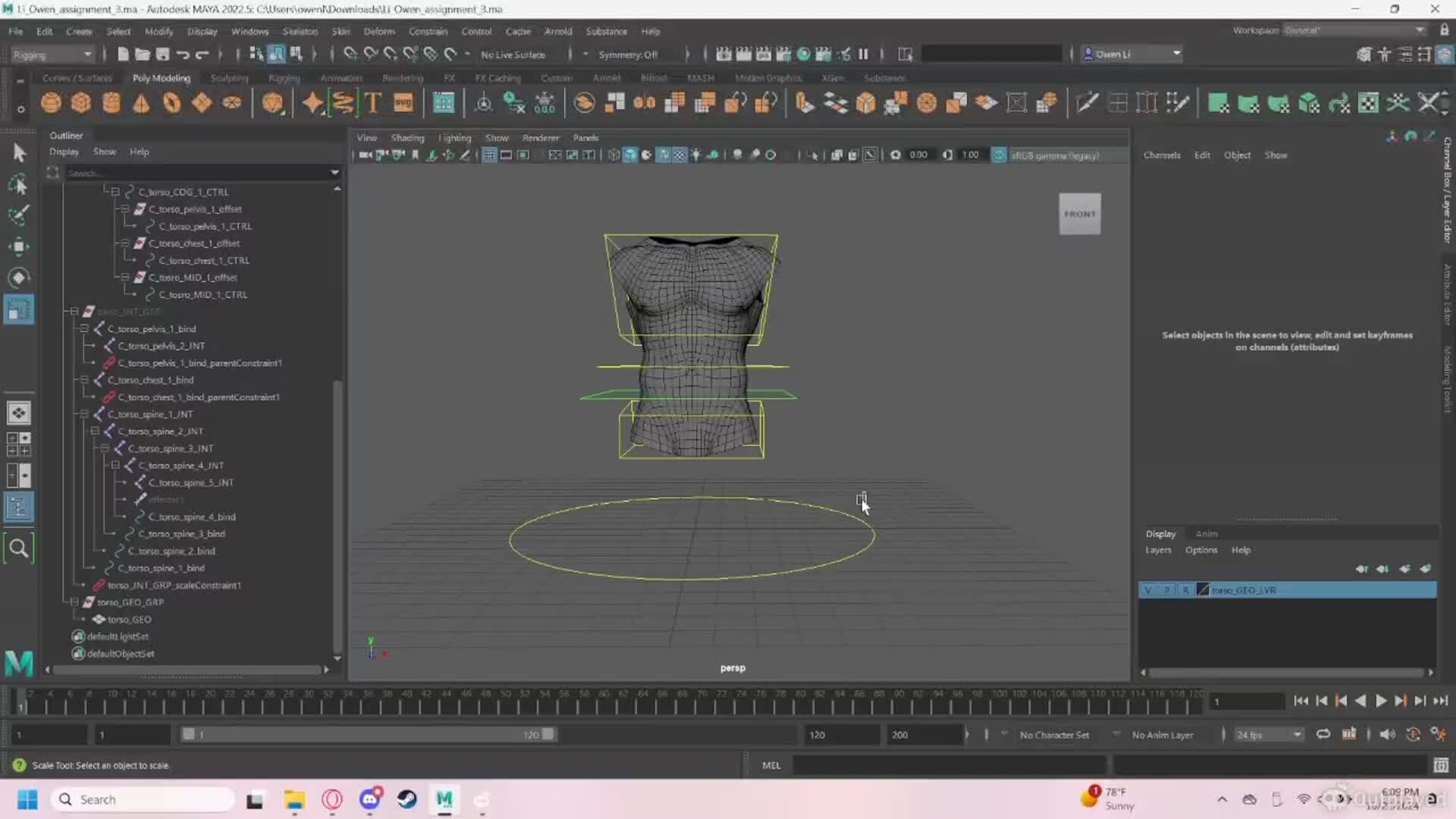 ArtStation - Torso Rig