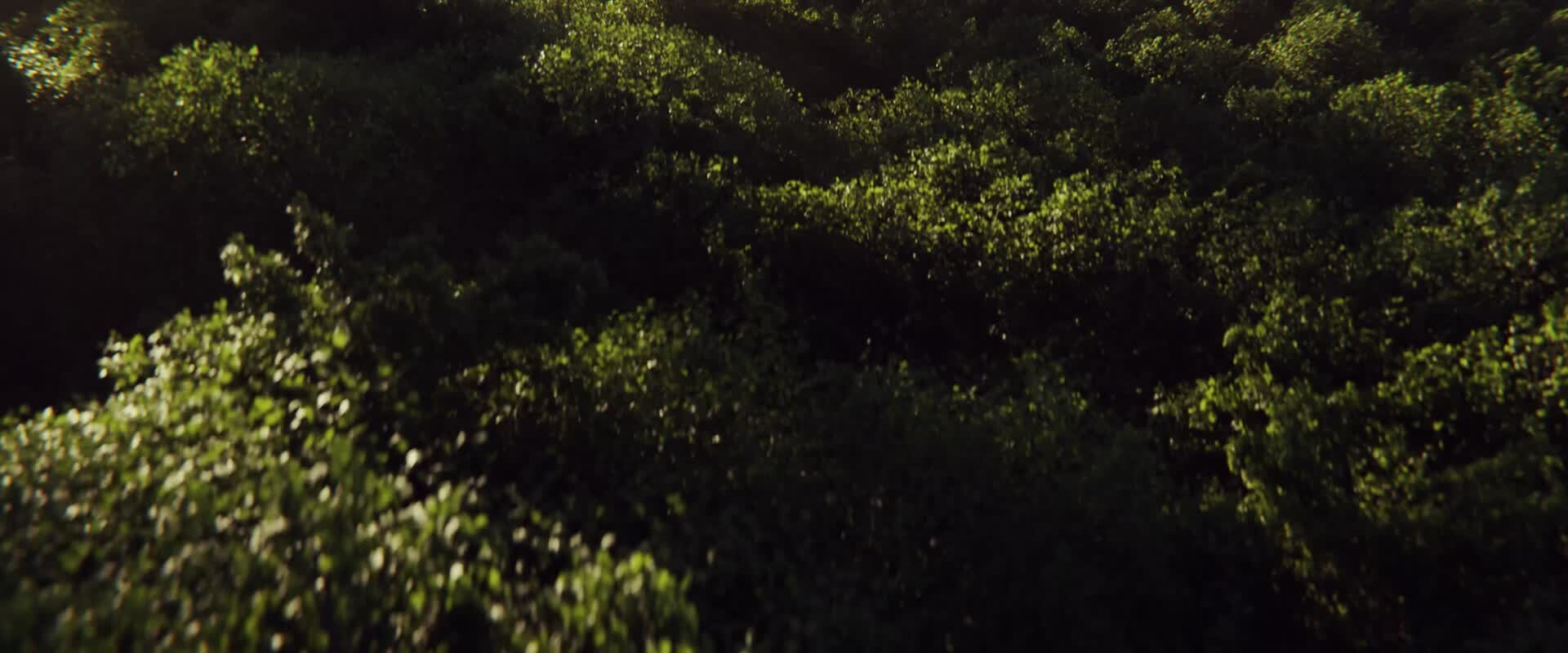 ArtStation - large landscape scene