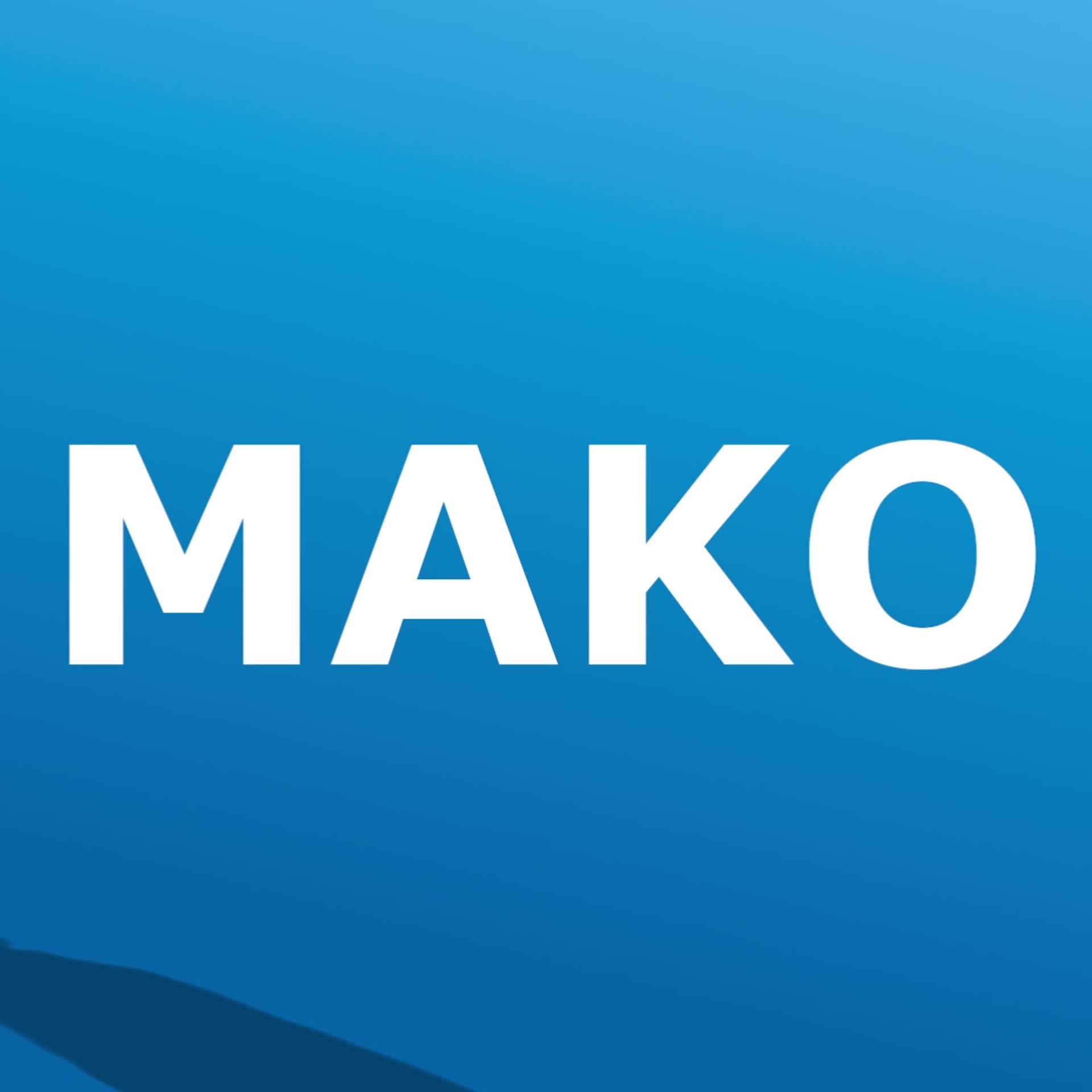 ArtStation - Mako Mako Mako