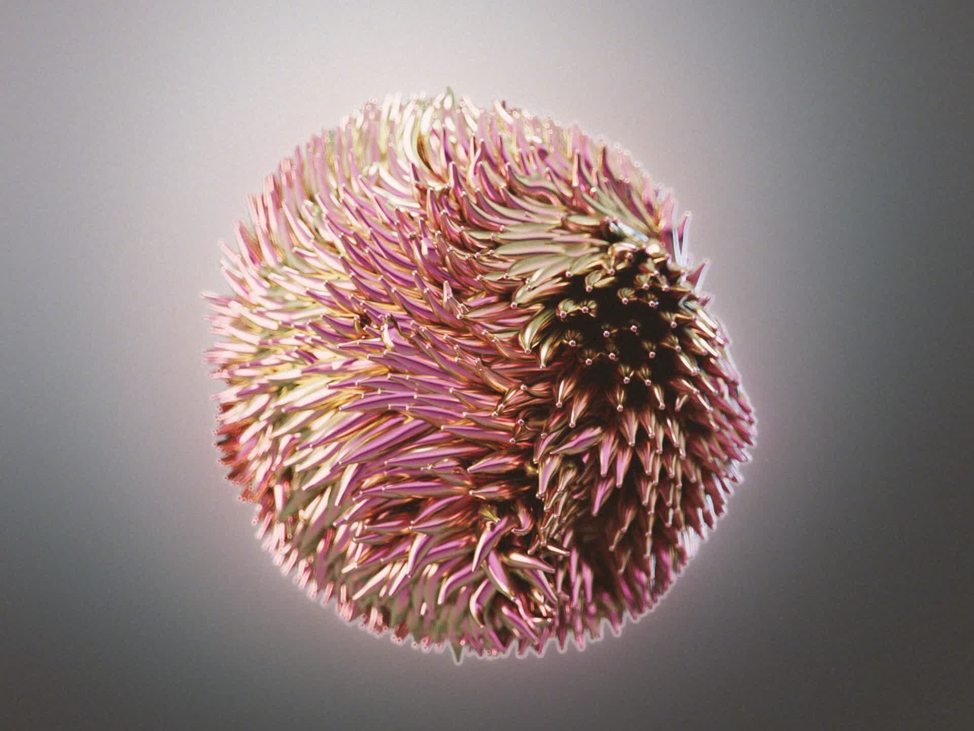 Tom Richardson Studio - Ferro