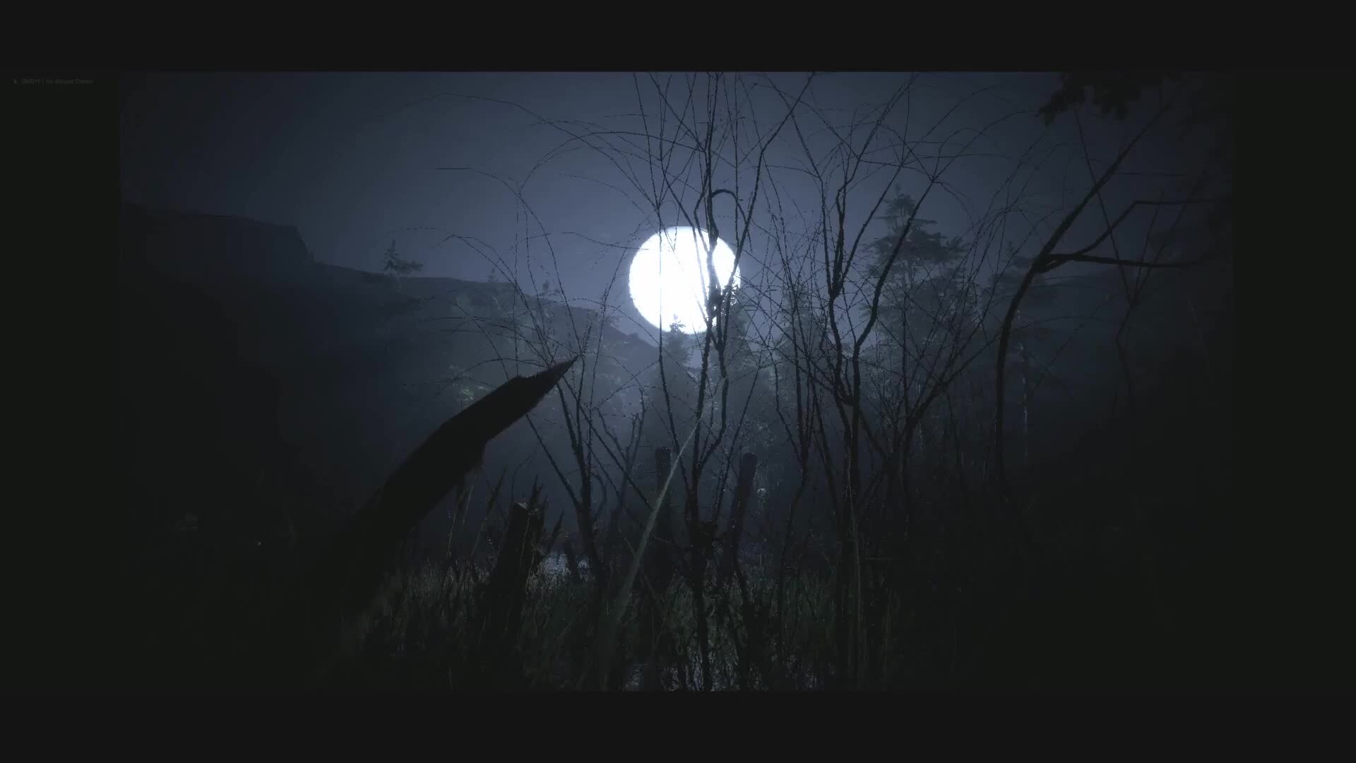 ArtStation - Forest 6174