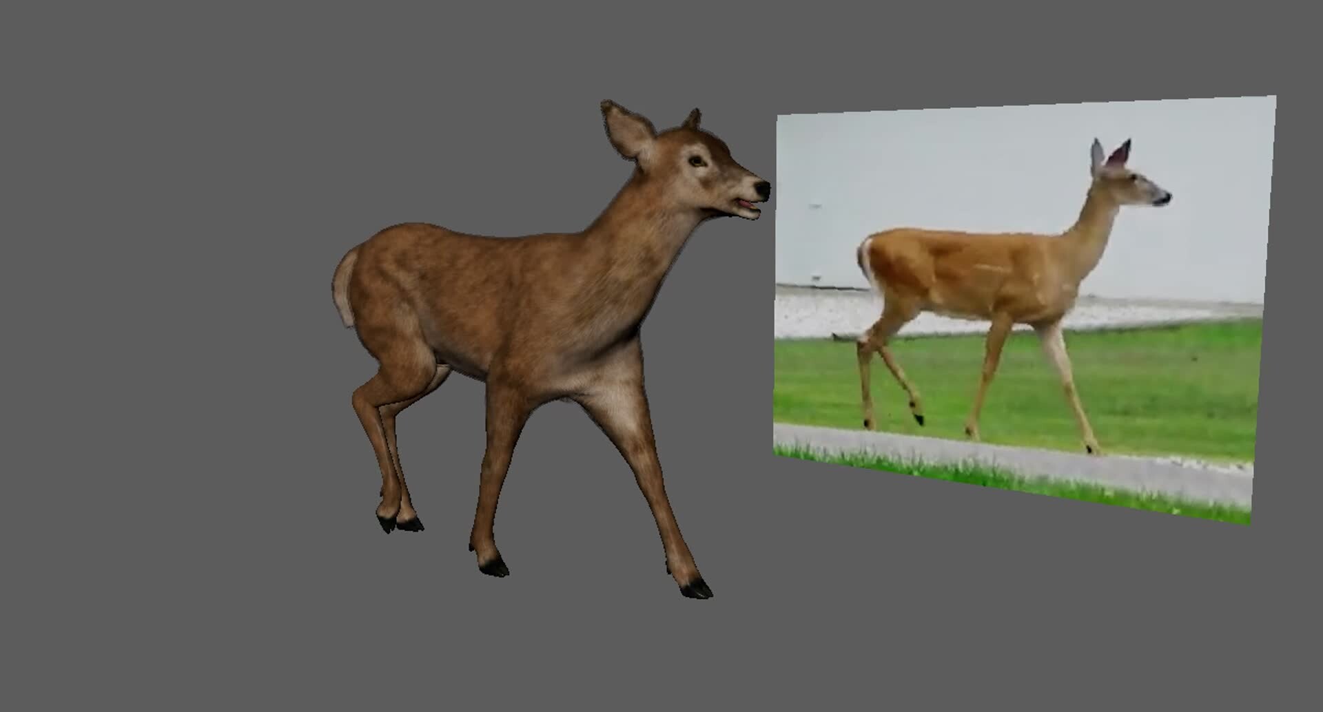 ArtStation - Deer Walk Cycle