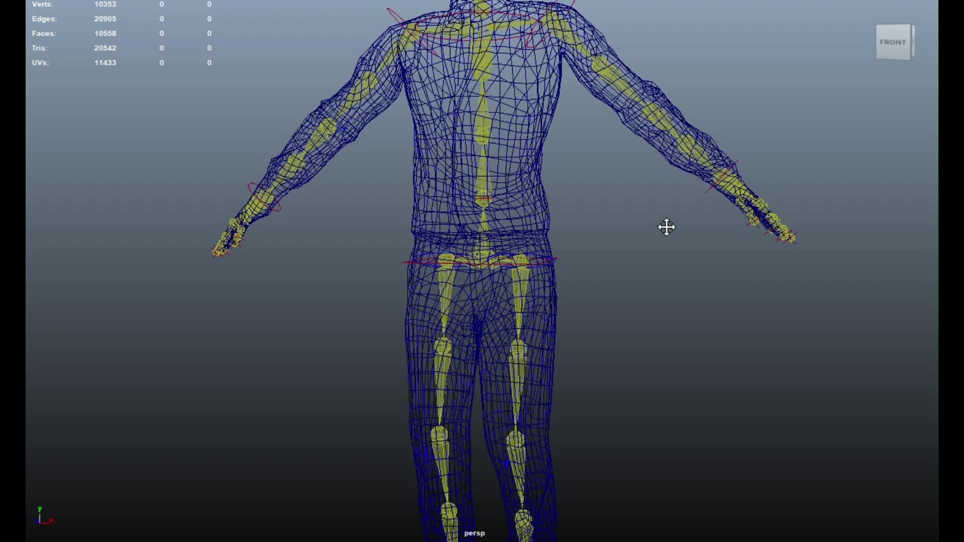 ArtStation - human rigging