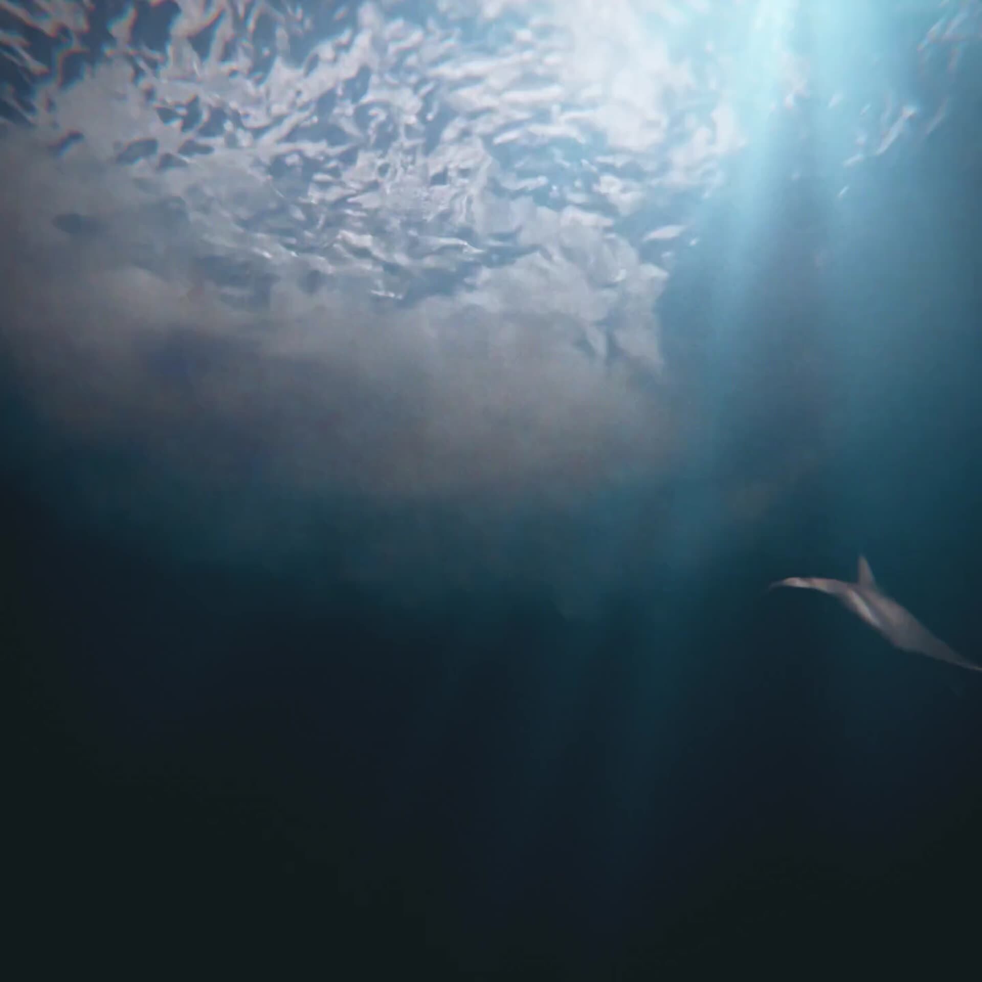 ArtStation - Underwater Predator