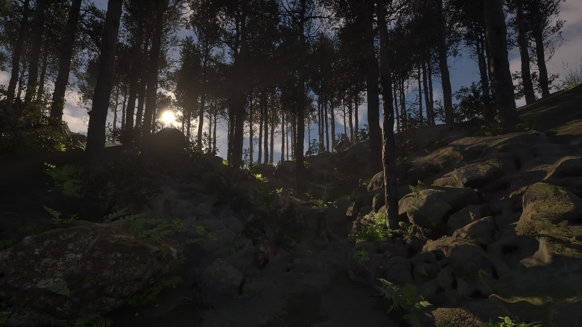 ArtStation - The Forest Blade – UE5 Cinematic Environment