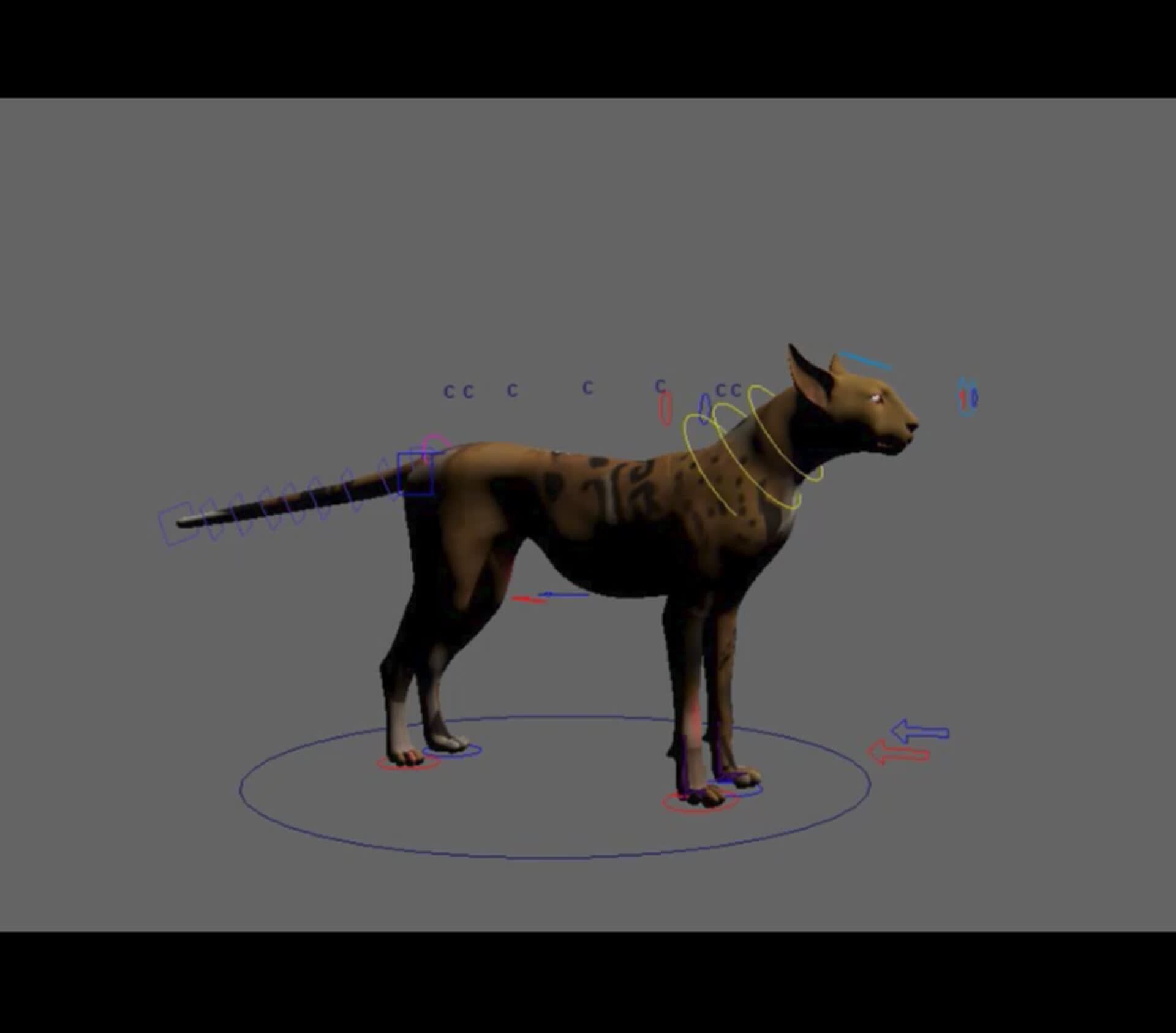 ArtStation - Cat Rig