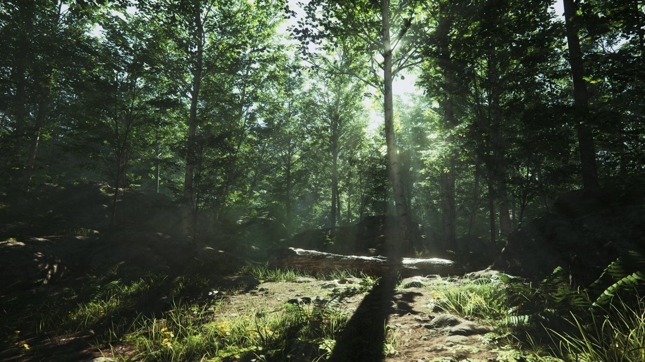 ArtStation - Unreal 4 Lighting Study: Forest Day