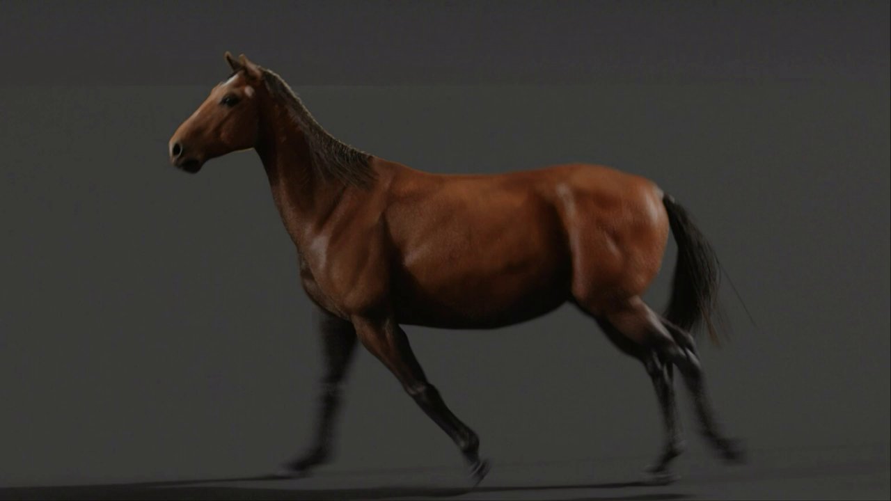 ArtStation - Horse R&D