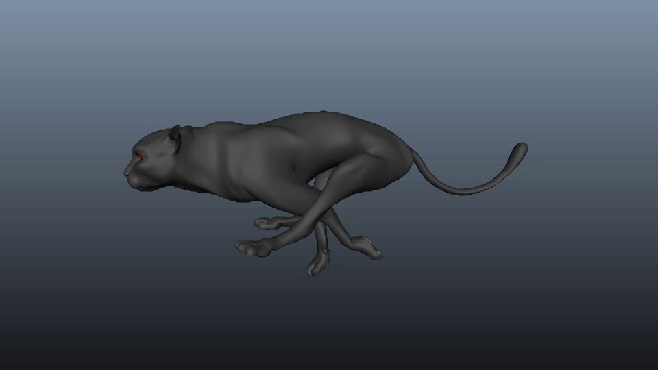 ArtStation - Cat run animation