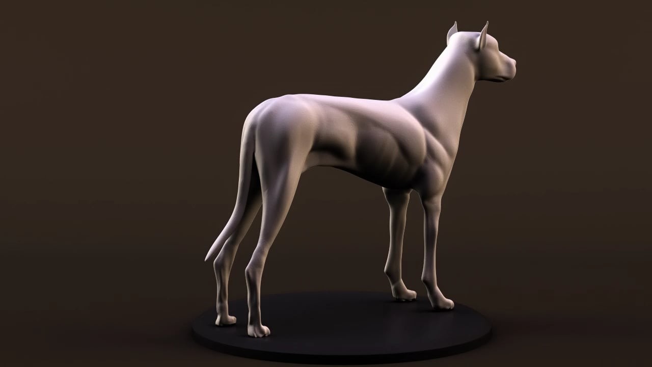 ArtStation - Dog render