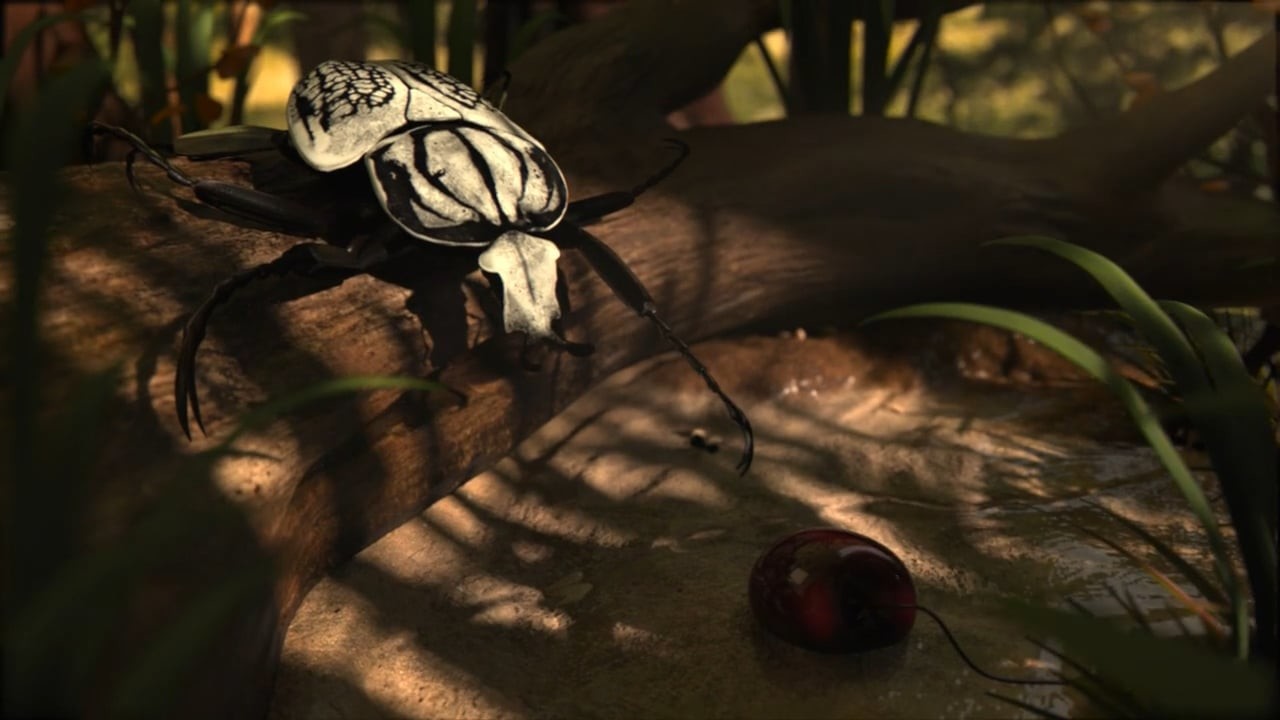 Vincent Orso - Insect