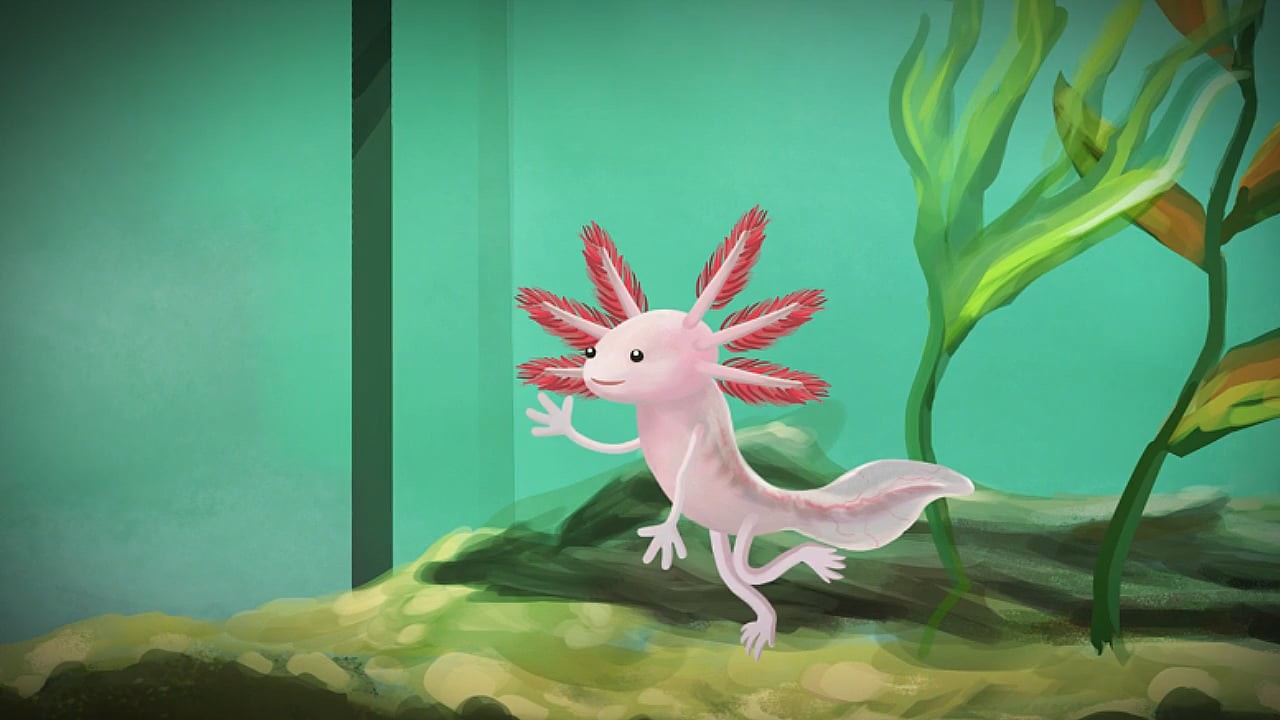 ArtStation - Axolotl - Feeling Lonely?