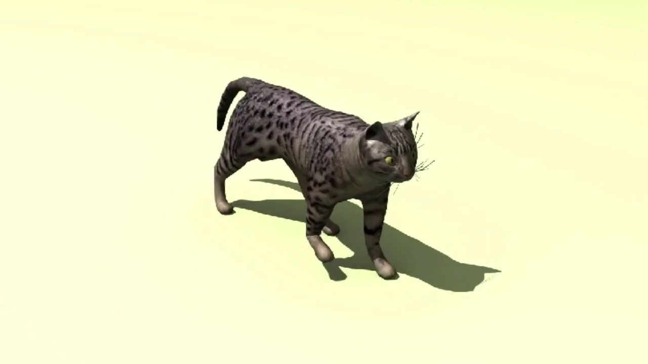 ArtStation - Cat Animation Cycle
