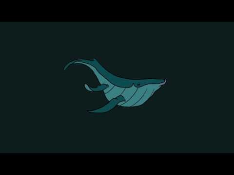 ArtStation - Walvis animatie 2D