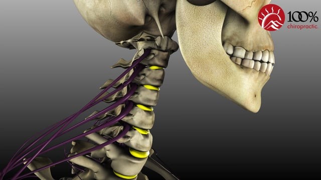 ArtStation - Spine animation