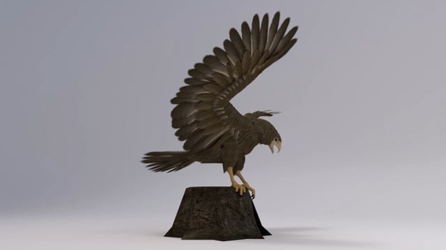 ArtStation - Hawk 3D