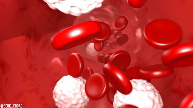 ArtStation - Blood Flow Animation