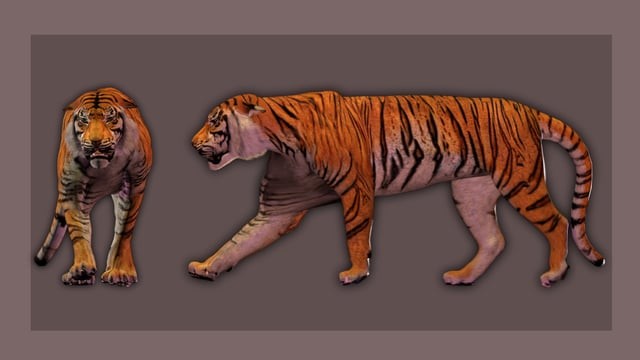 ArtStation - Tiger Walk Cycle