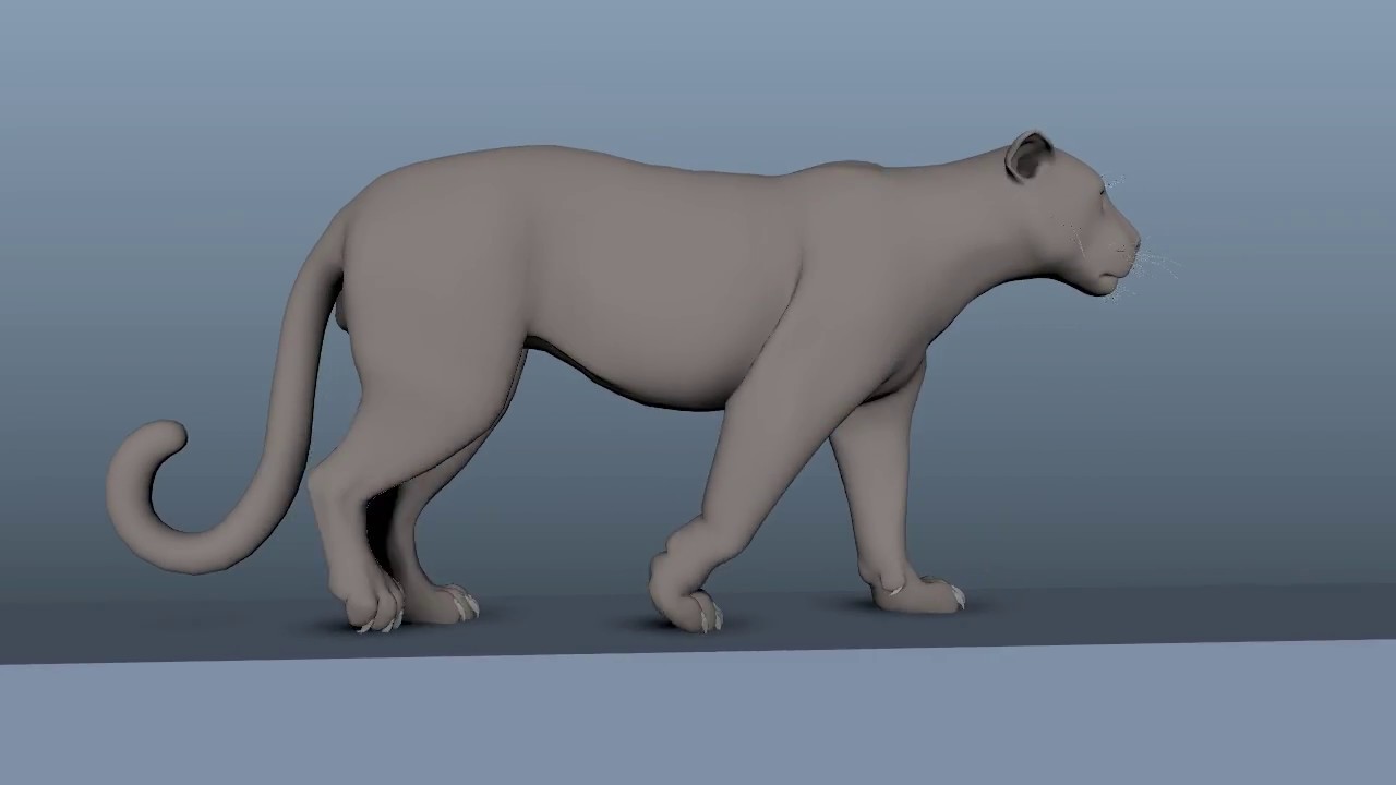 ArtStation - Leopard walk cycle animation