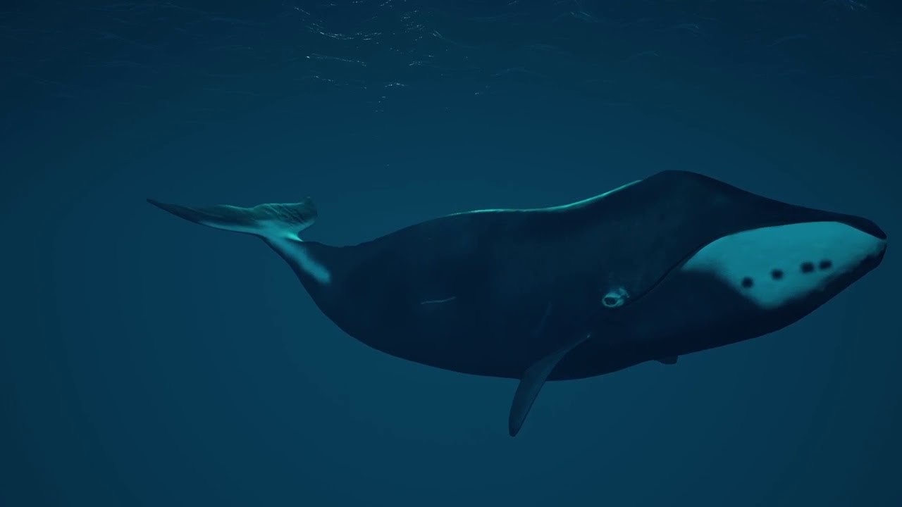 ArtStation - Duetto - Models Animation by Louise Dempsey, Final Render ...