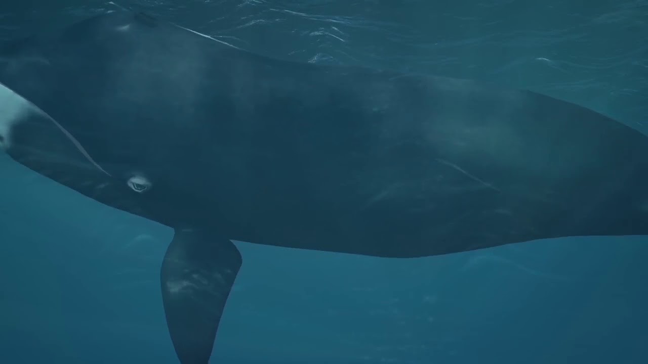 ArtStation - Cadenza - Models and Animation by Louise Dempsey Final ...