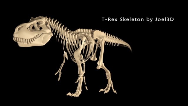 ArtStation - Skeleton T-rex Walk Cycle