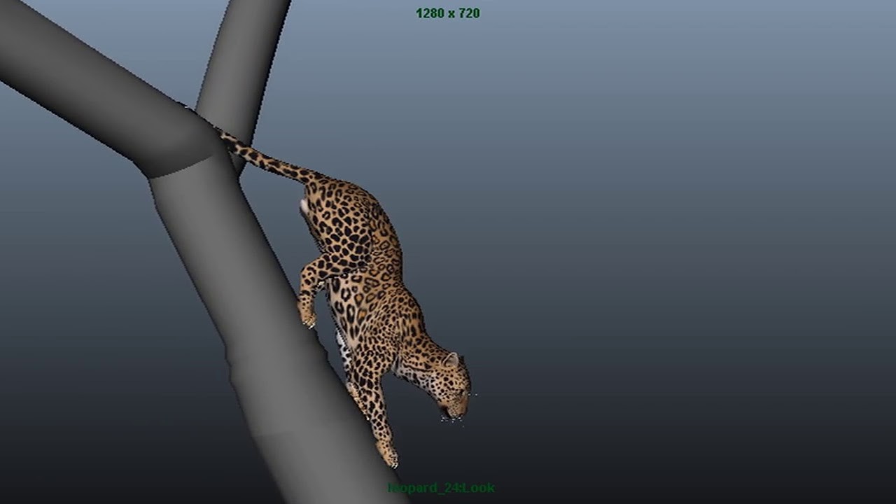 ArtStation - Leopard Animation